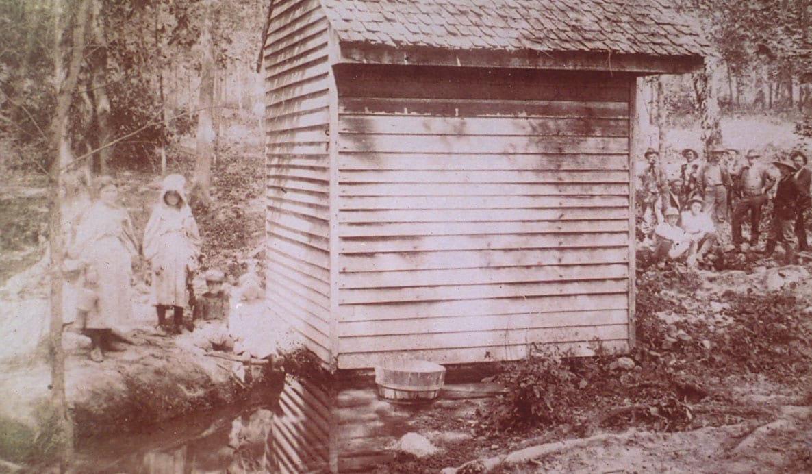 Janssen Park Spring – to drink or not to drink? | My Pulse News