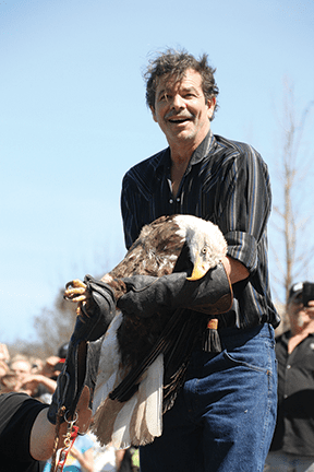 Veteran’s Day Eagle Soars to New Home | My Pulse News